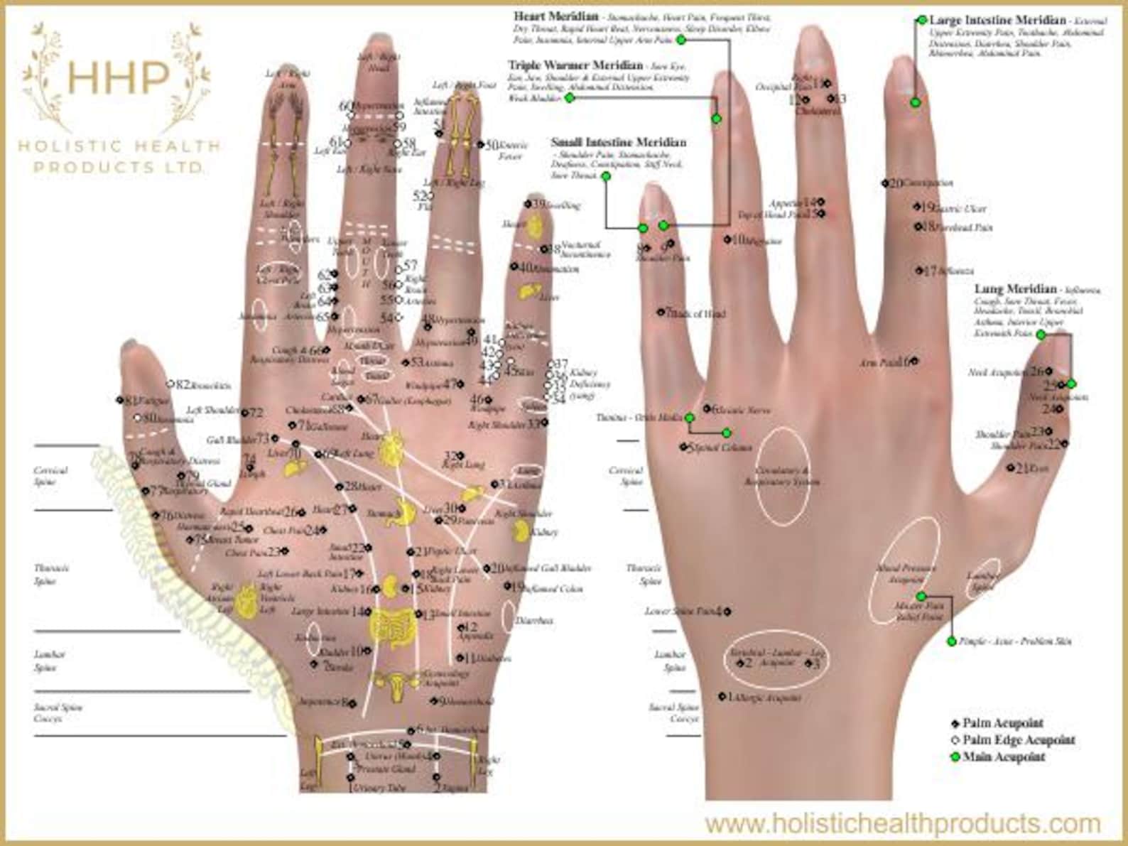 Acupressure Hand Chart PNG Reflexology & Meridian Points Digital ...