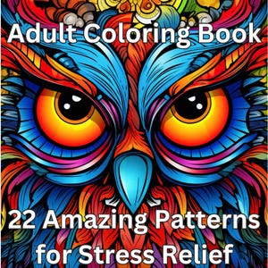 Adult Coloring Book for Stress Relief and Mindfulness 1 | 22 Unique and ...