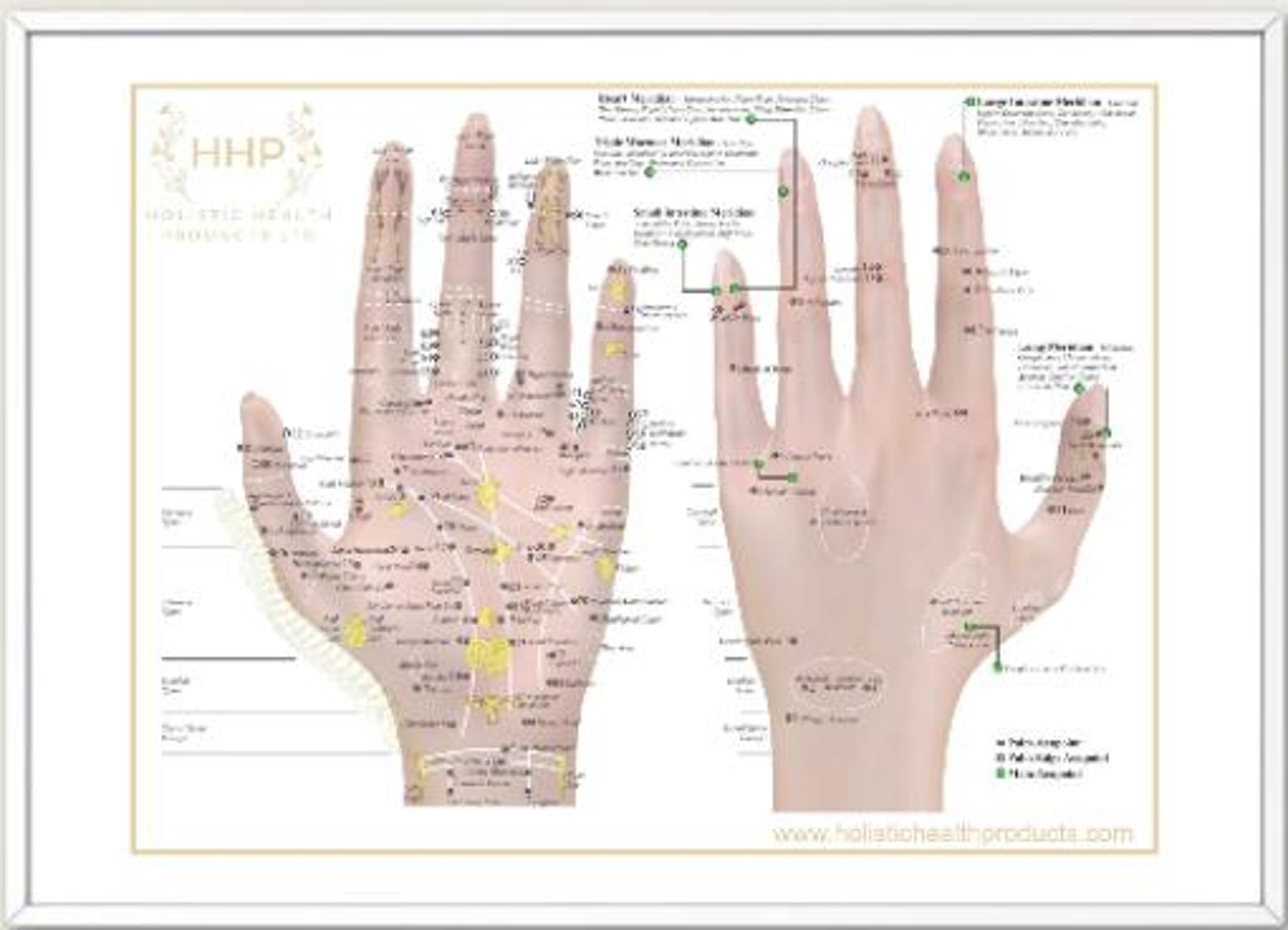 Acupressure Hand Chart PNG Reflexology & Meridian Points Digital Download, Alternative Healing ...