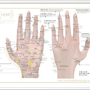 Acupressure Hand Chart PNG Reflexology & Meridian Points Digital ...