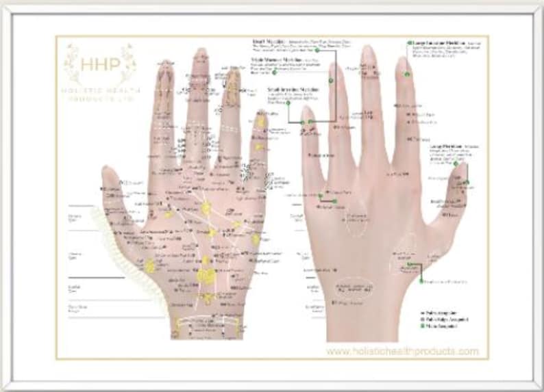 Acupressure Hand Chart PNG Reflexology & Meridian Points Digital ...