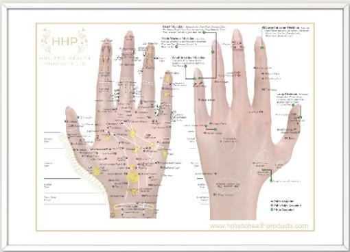 Acupressure Hand Chart PNG Reflexology & Meridian Points Digital ...