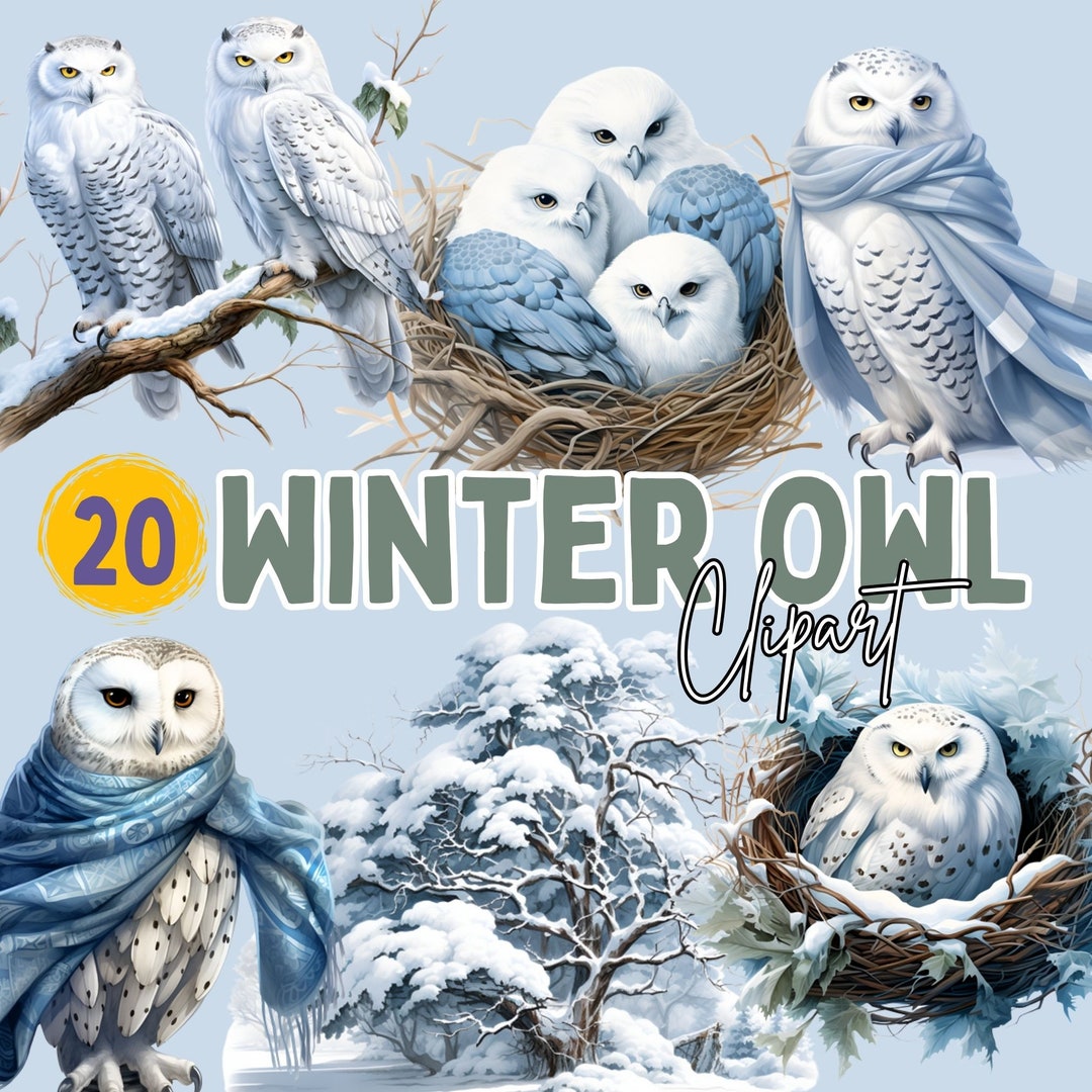 Winter Owls Watercolor Clipart Bundle Snowy Owl Winter Png - Etsy