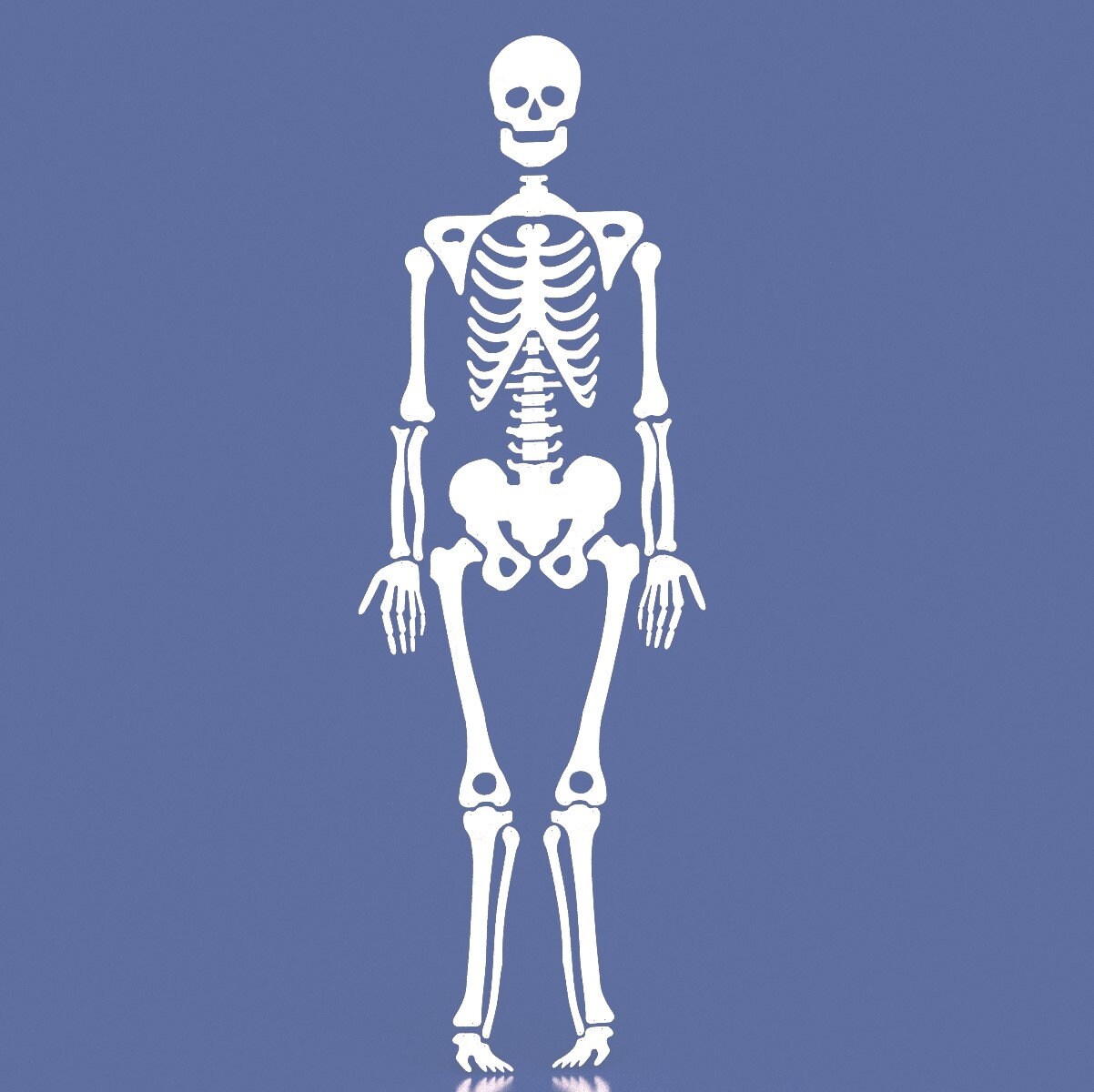 Halloween Skeleton Laser Cut Files, Svg Wooden Vector Files for Laser ...