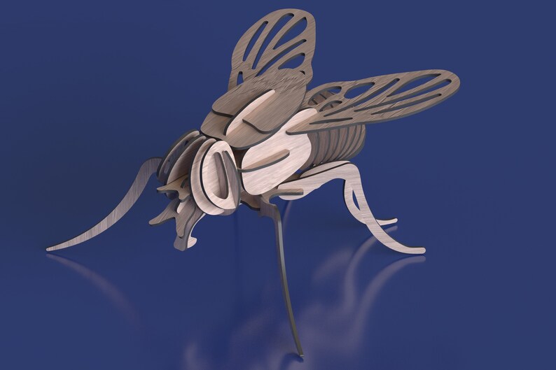 3D Fly Insect, Laser Cut File Svg Dxf Cdr Pdf, Vector Plan for Cnc Laser, Wood Model Pattern ...