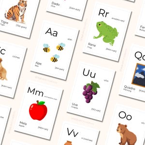 Italian Alphabet Flashcards for Kids and Beginners English Translation ...