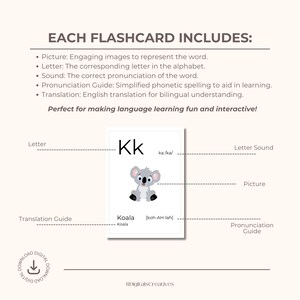 Spanish Alphabet Flashcards for Kids and Beginners English Translation ...