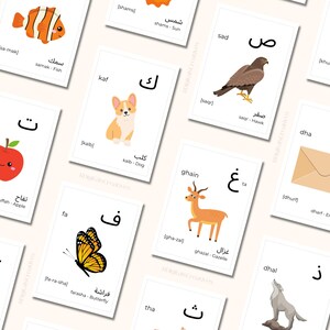Arabic Alphabet Flashcards for Kids and Beginners English Translation ...