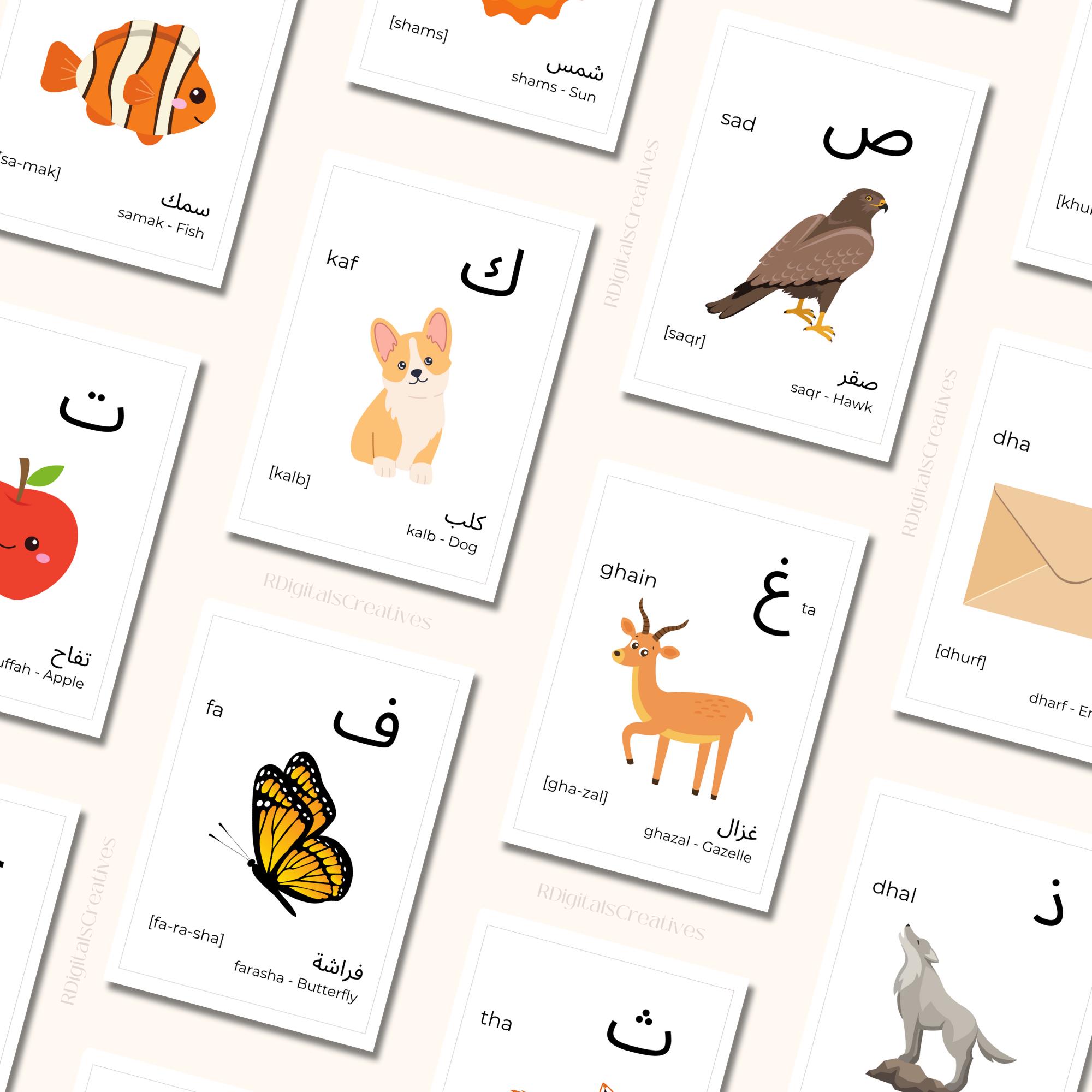 Arabic Alphabet Flashcards for Kids and Beginners English Translation ...