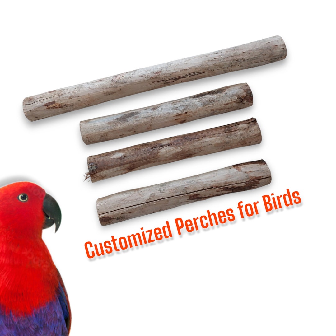 Customized Perches for Birds 6 to 20 Inches 15 to 50 Cm. - Etsy