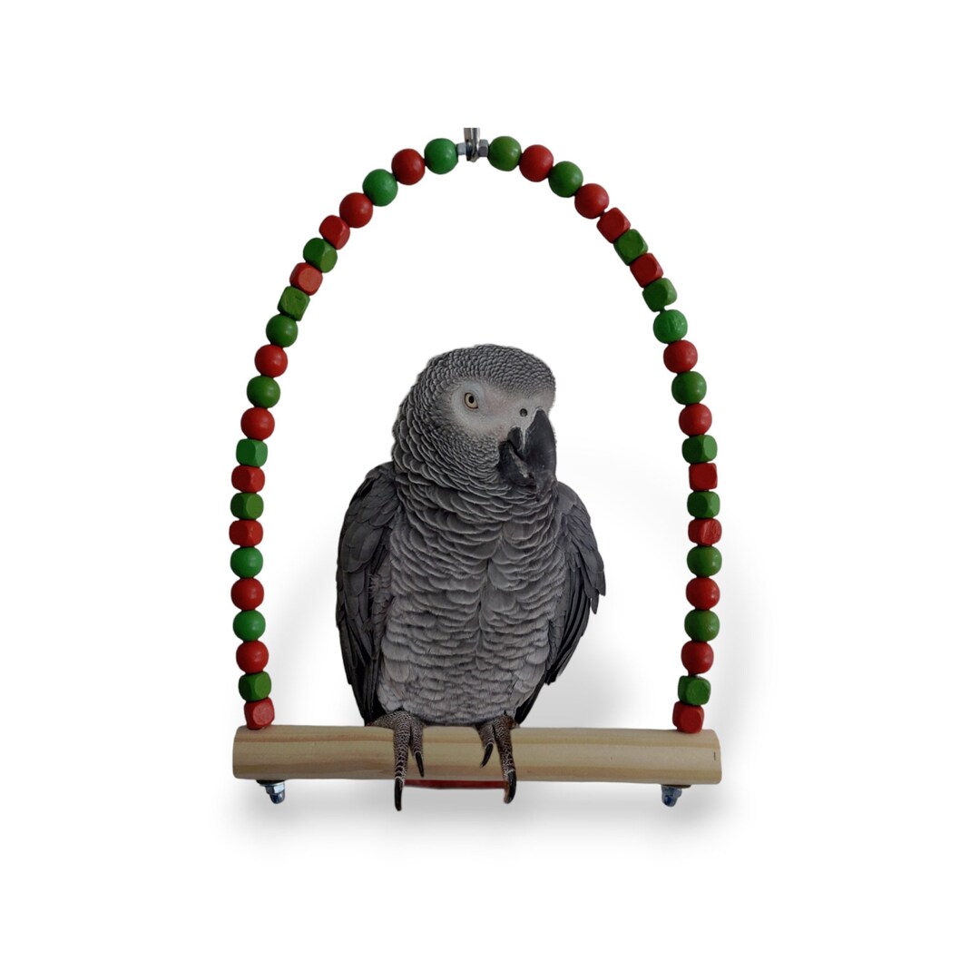 Bird Swing. Natural Wood Bird Swing. Swing for Parrots. - Etsy