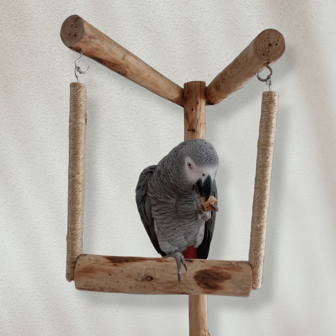 Extra Large Bird Swing. Natural Wood. - Etsy