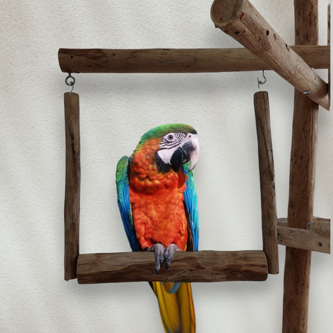 Macaw Swing XXL Size Parrot Swing. Natural Wood. - Etsy