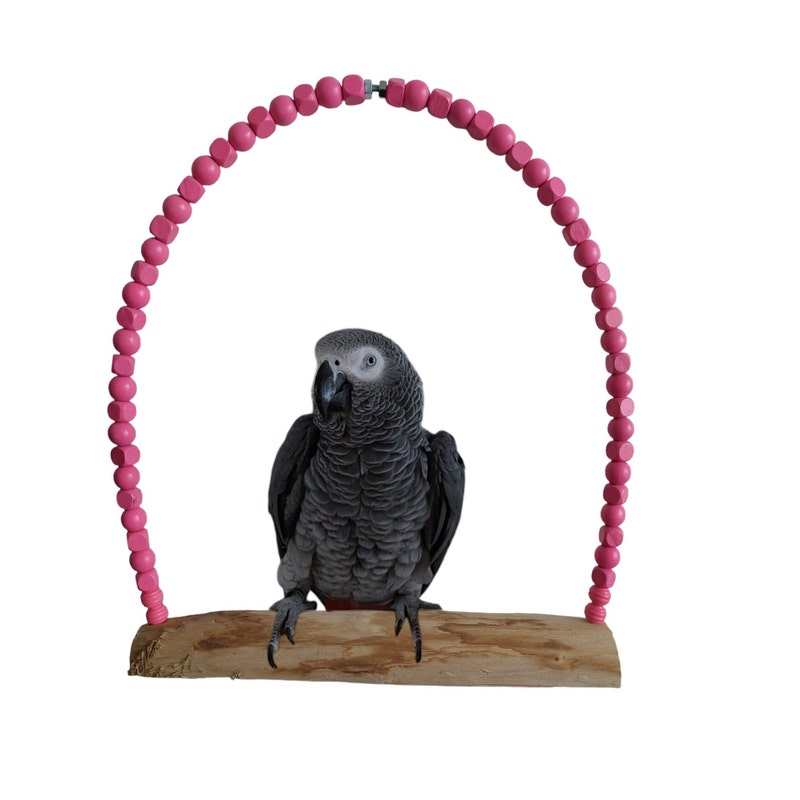 Parrot Toys - Etsy