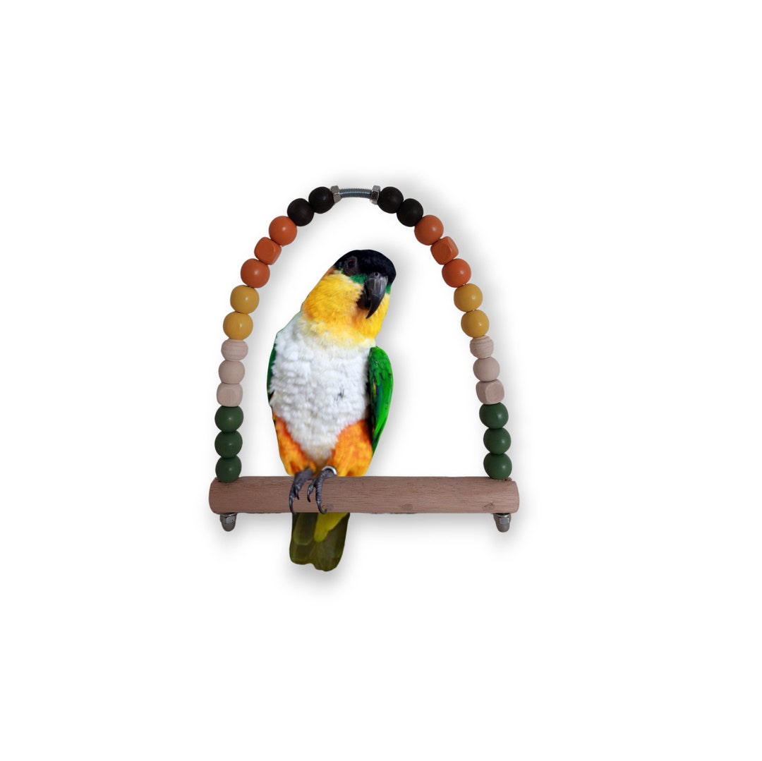 Black Headed Caique Color Swing - Etsy