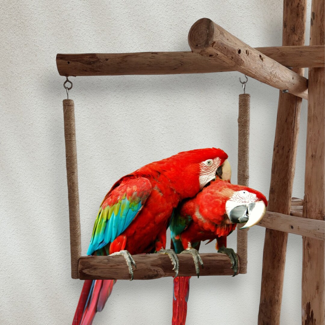 Macaw Swing XXL Size Bird Swing. Natural Wood. - Etsy UK