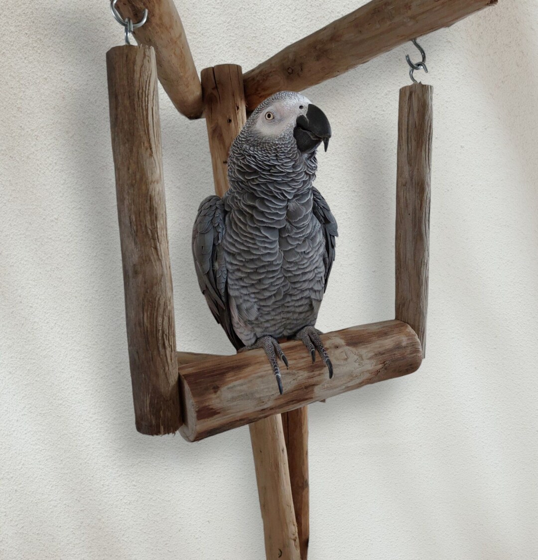 Bird Swing Large. Natural Wood. Swing for Parrots. - Etsy Australia