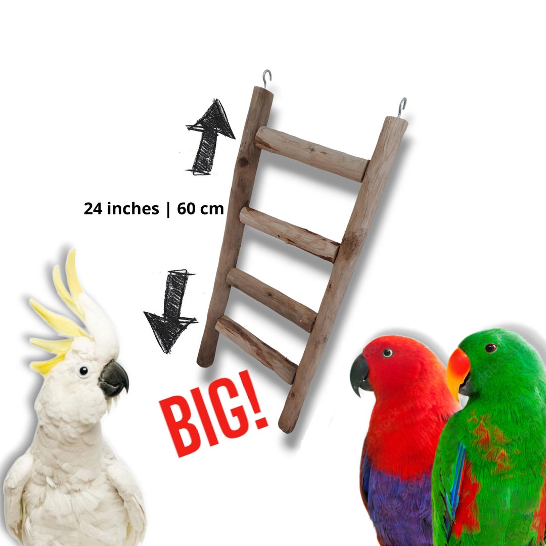 Heavy Duty Large Bird Ladder. Natural Wood. - Etsy UK