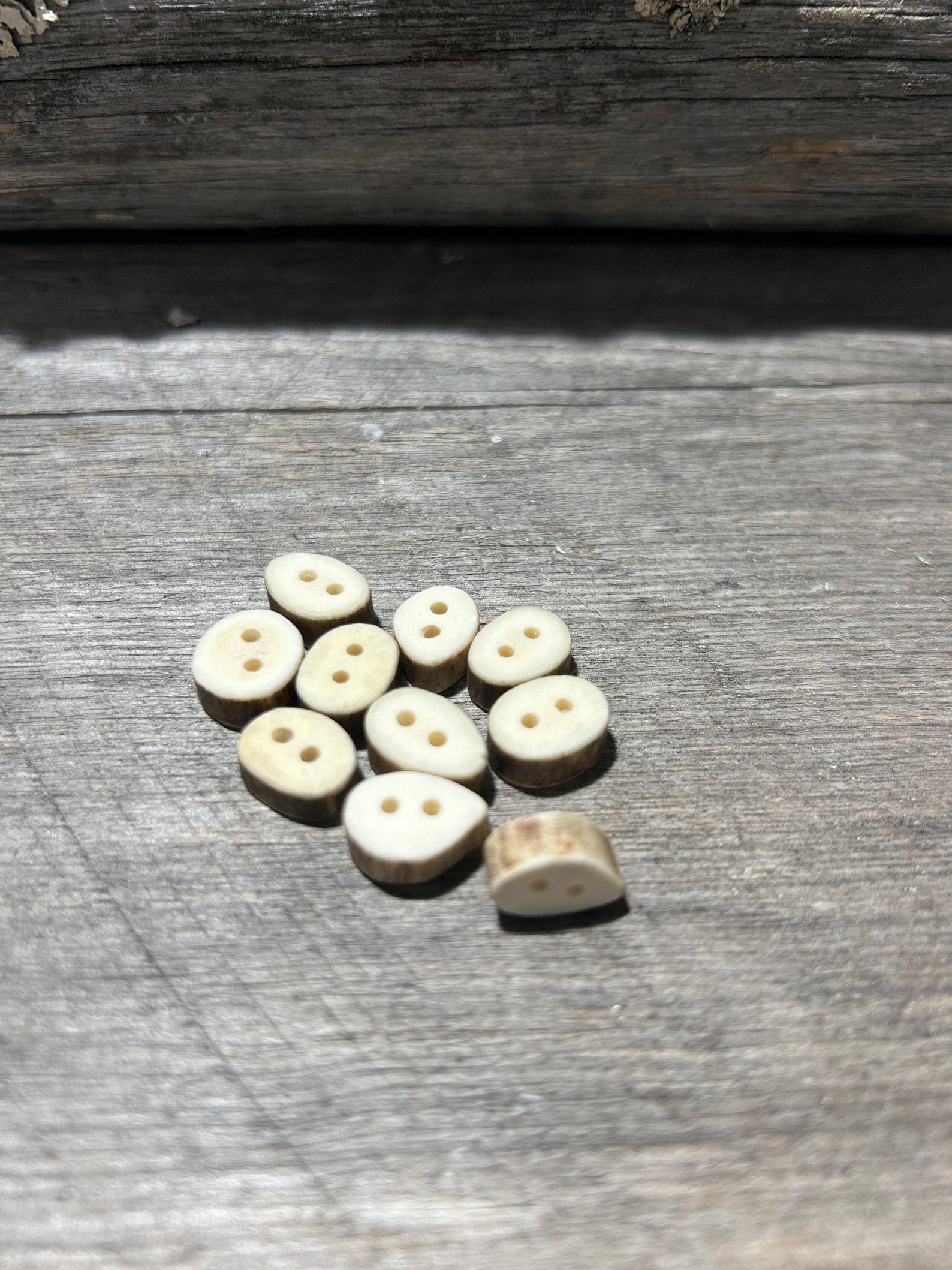 8 Different Types of REINDEER ANTLER BUTTON, 100% Natural Product, Hand ...