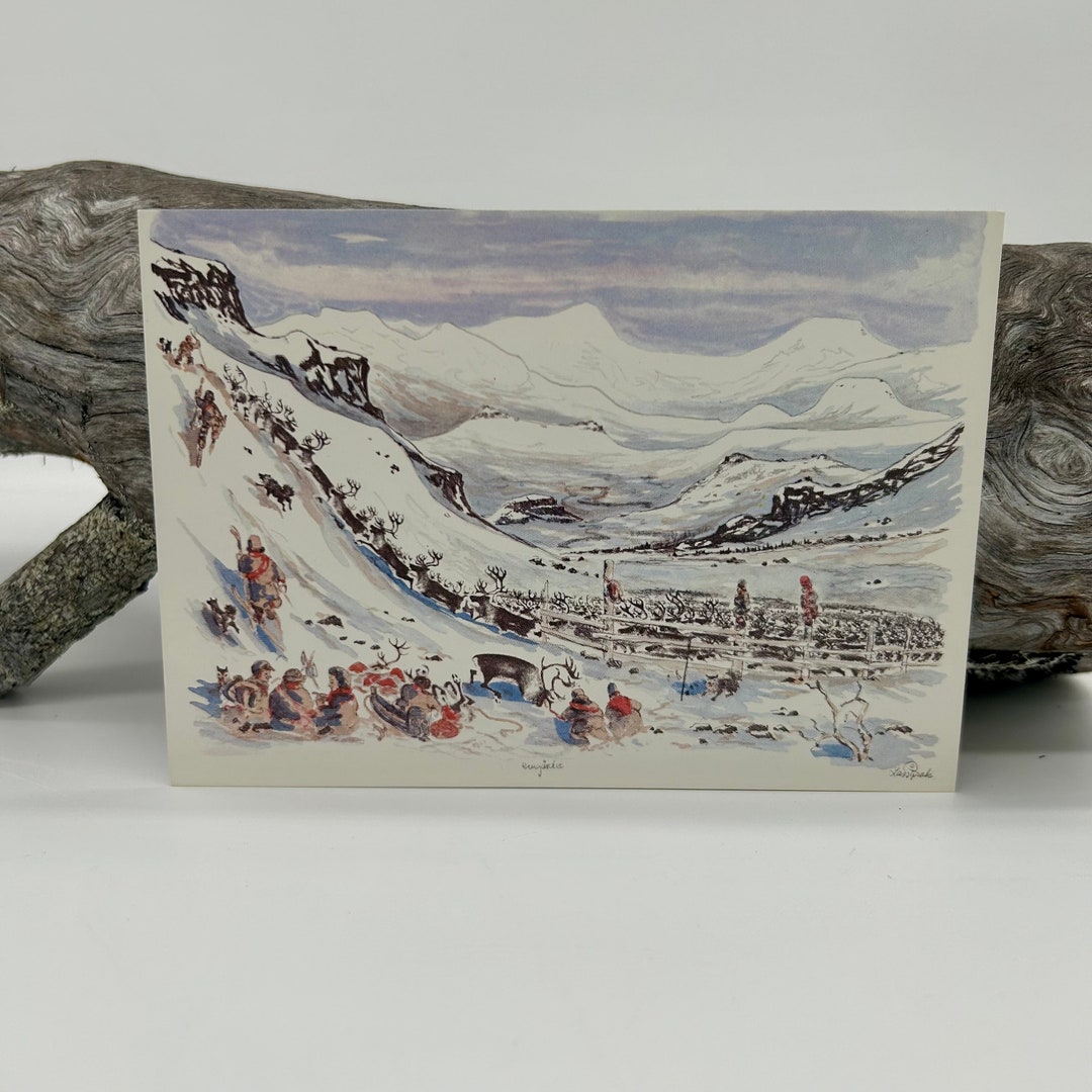 Sami Vintage Postcards, From Reindeer Garden 3 Different Types From ...