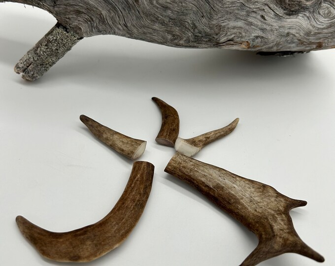8 Different Types of REINDEER ANTLER BUTTON, 100% Natural Product, Hand ...