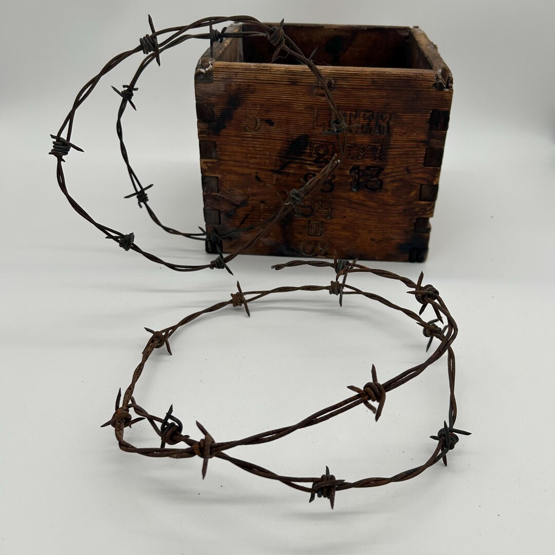 Rusty BARBED WIRE Vint. Industrial Farmhouse Decor, Art Creative, for ...