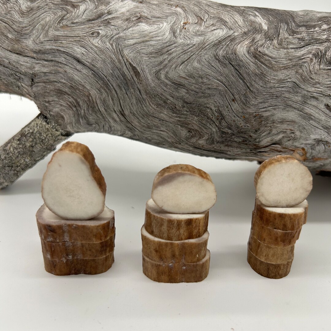 MOOSE ANTLER SLICE, 3 Different Sizes/shapes, Hand Made From Lappland ...