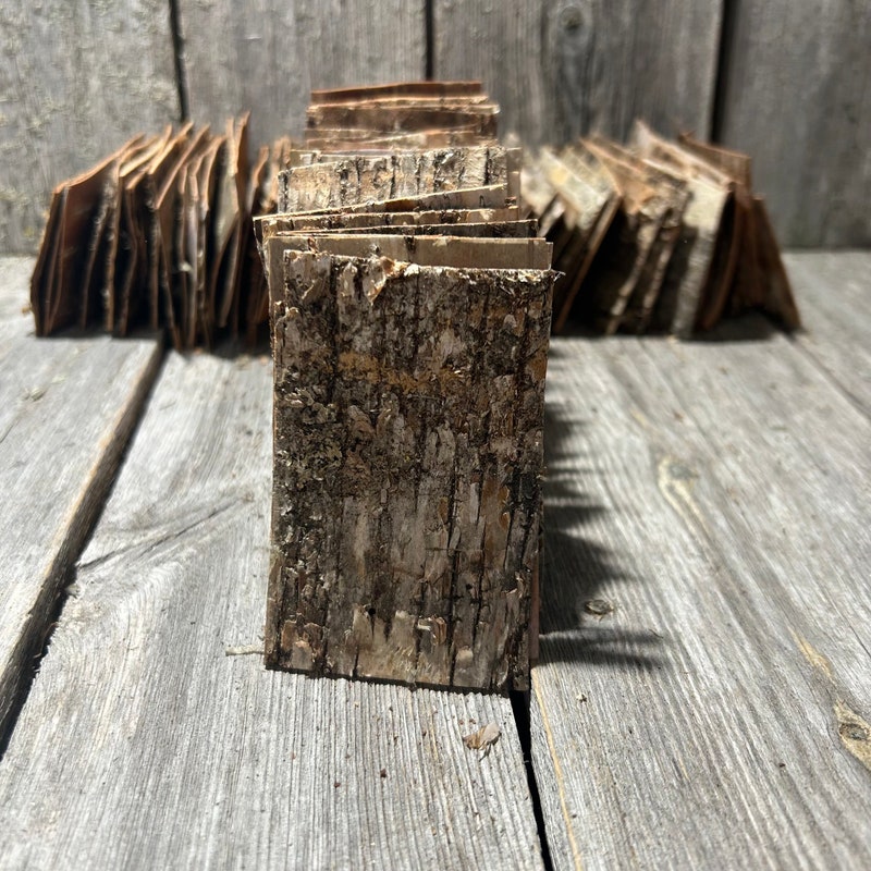 Birch Bark Strips - Etsy