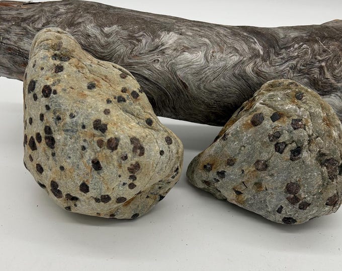 EXTRA Mega Large GARNET in MATRIX, 2 Different Types, Raw Crystal ...