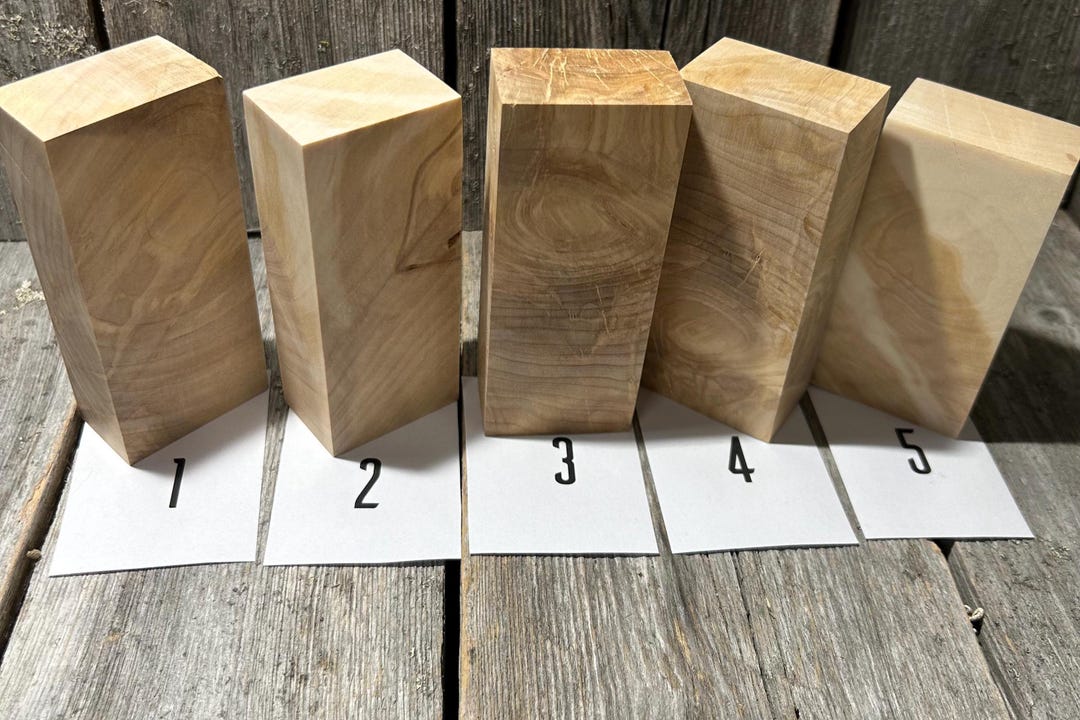 BIRCH BURL Block/piece, 5 Types, for Your Next Project, Knife Handle ...