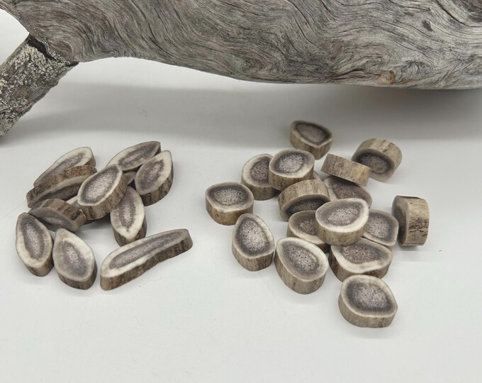 8 Different Types of REINDEER ANTLER BUTTON, 100% Natural Product, Hand ...