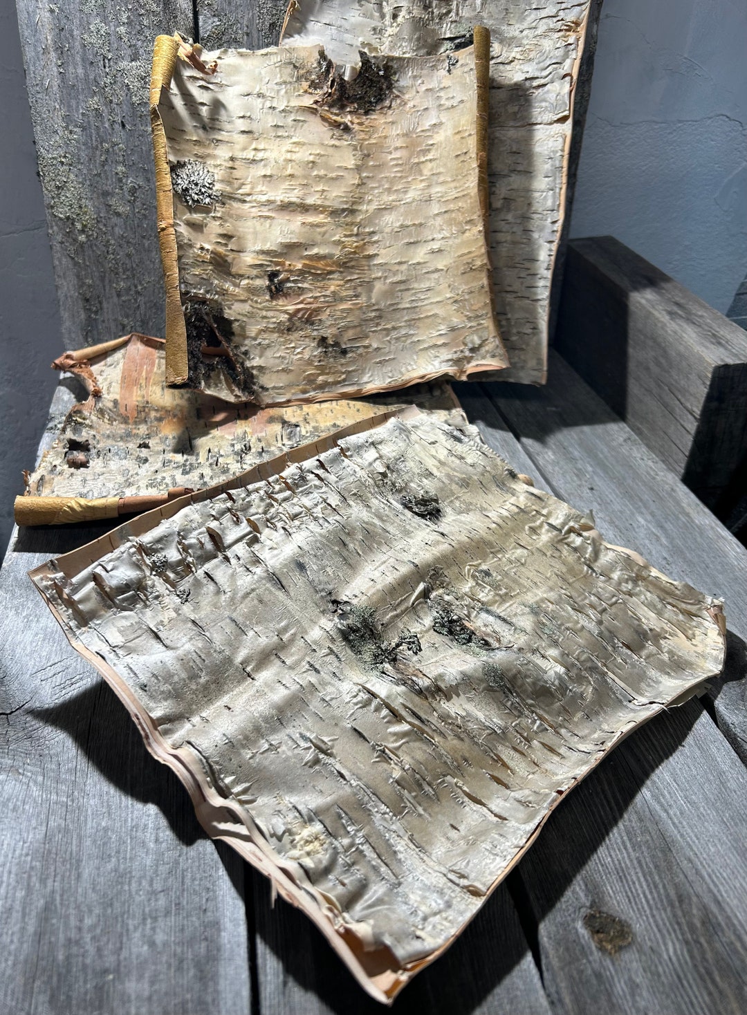 LARGE BIRCH BARK Sheet, 100% Natural Product, Hand Made, From Lappland ...