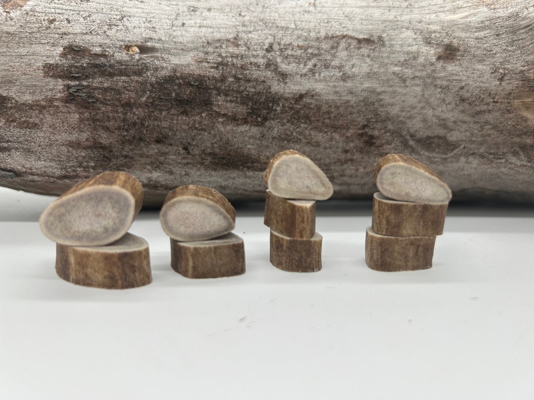 4 Different REINDEER ANTLER SLICE, 100% Natural Product, Hand Made ...