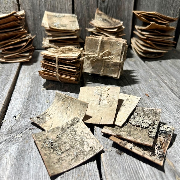 Birch Bark Paper - Etsy