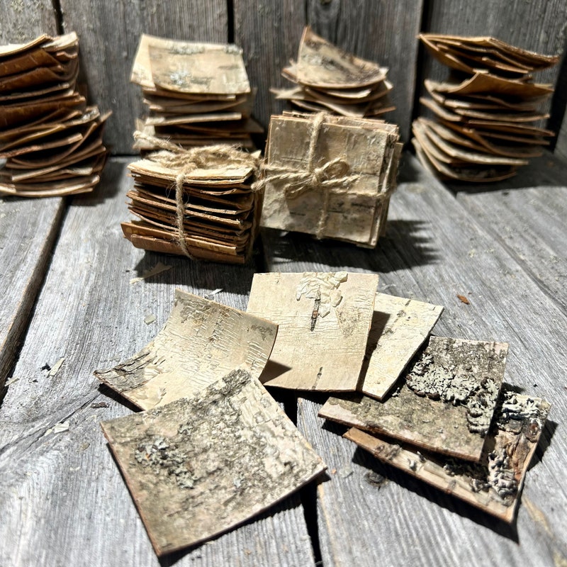 Birch Bark Paper - Etsy