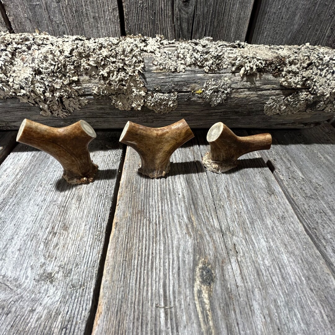 REINDEER Antler PIECE ROSENKRANS, 3 Types, 100% Natural Product, Hand ...