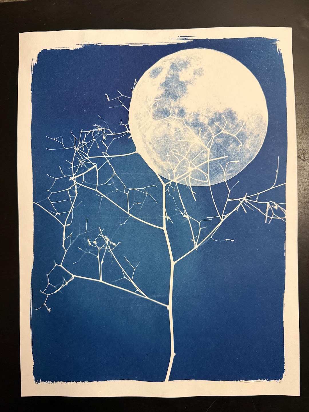 Handmade Cyanotype full Moon Botanical and Celestial Art - Etsy