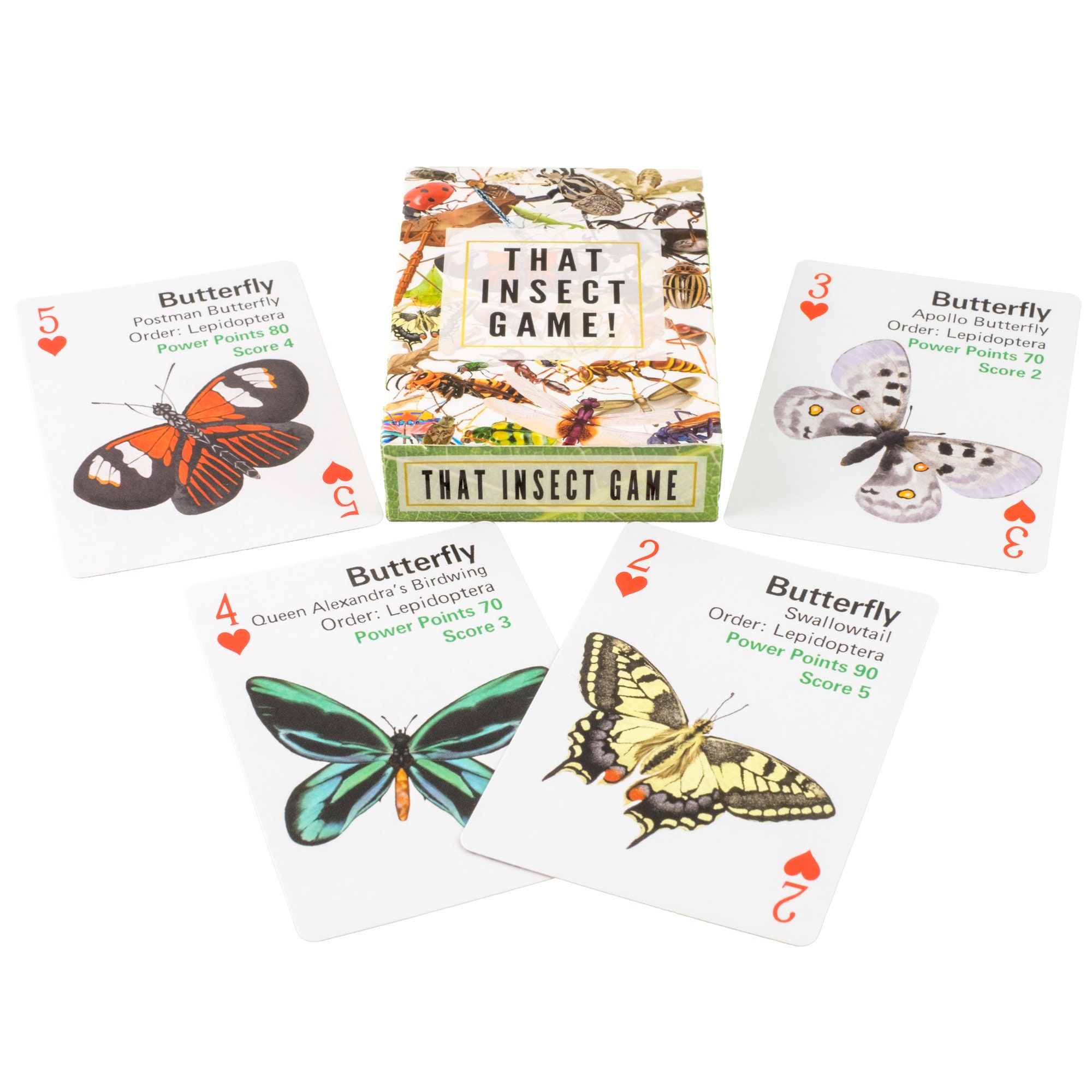 Insect Card Game: Educational Bug Matching for Kids & Adults - Etsy