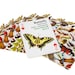 Insect Card Game: Educational Bug Matching for Kids & Adults - Etsy