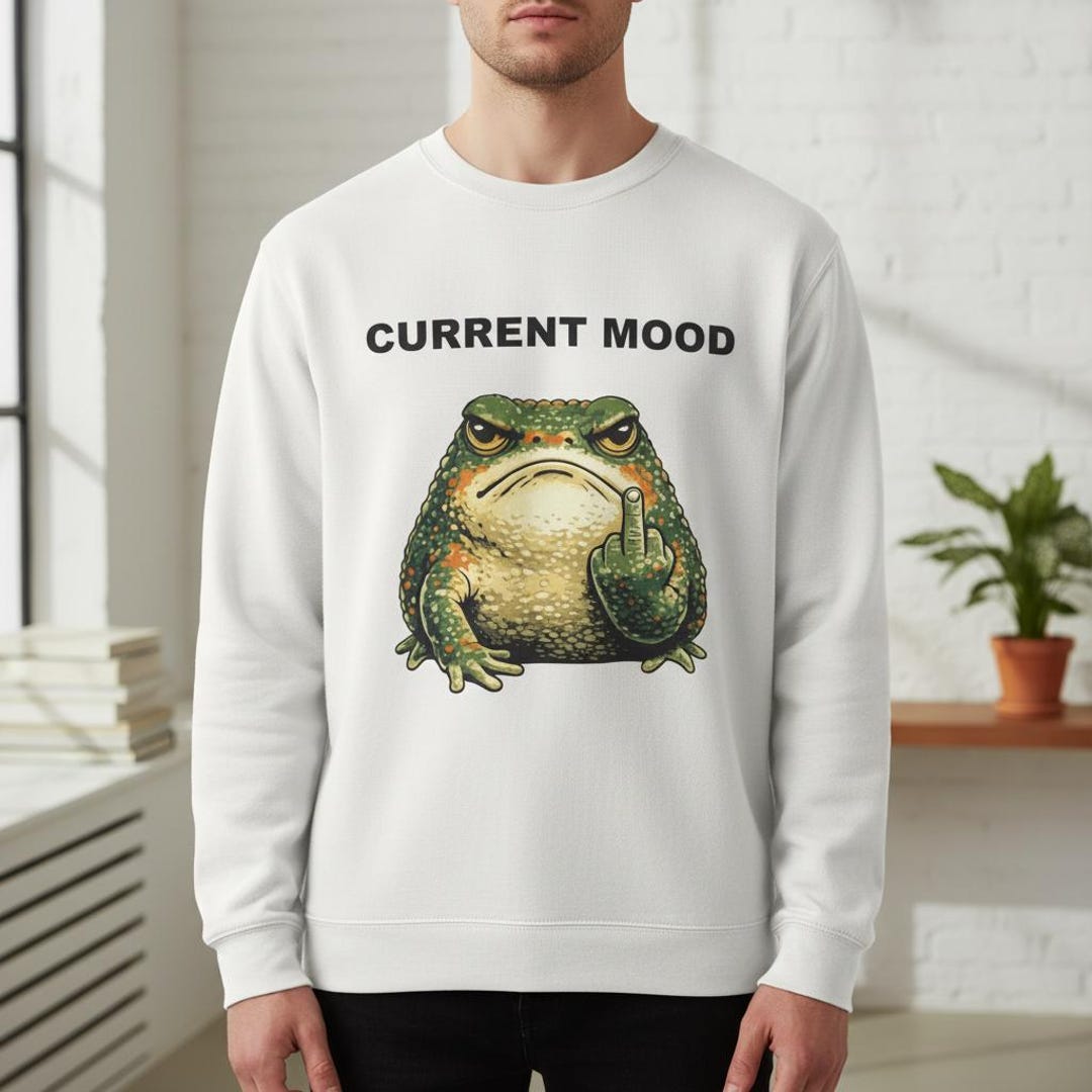 Current Mood Frog Sweatshirt | Personalized Custom Text Funny Frog ...