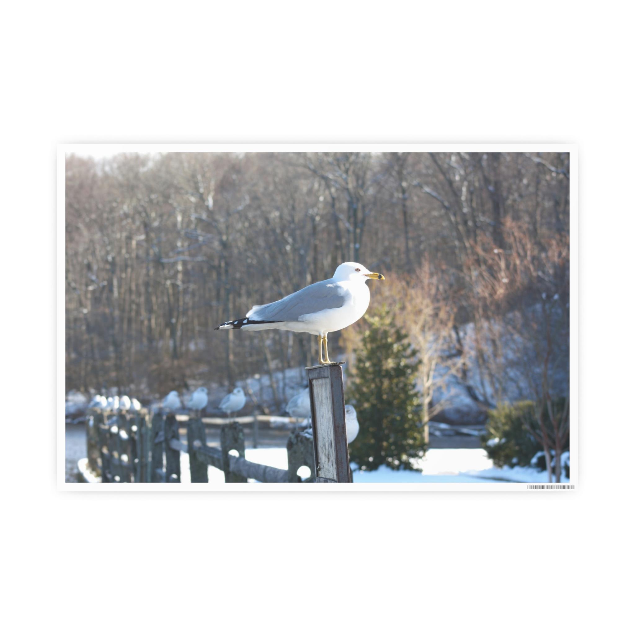 Seagull Photo Poster, Coastal Wall Art Print, Beach House Decor ...