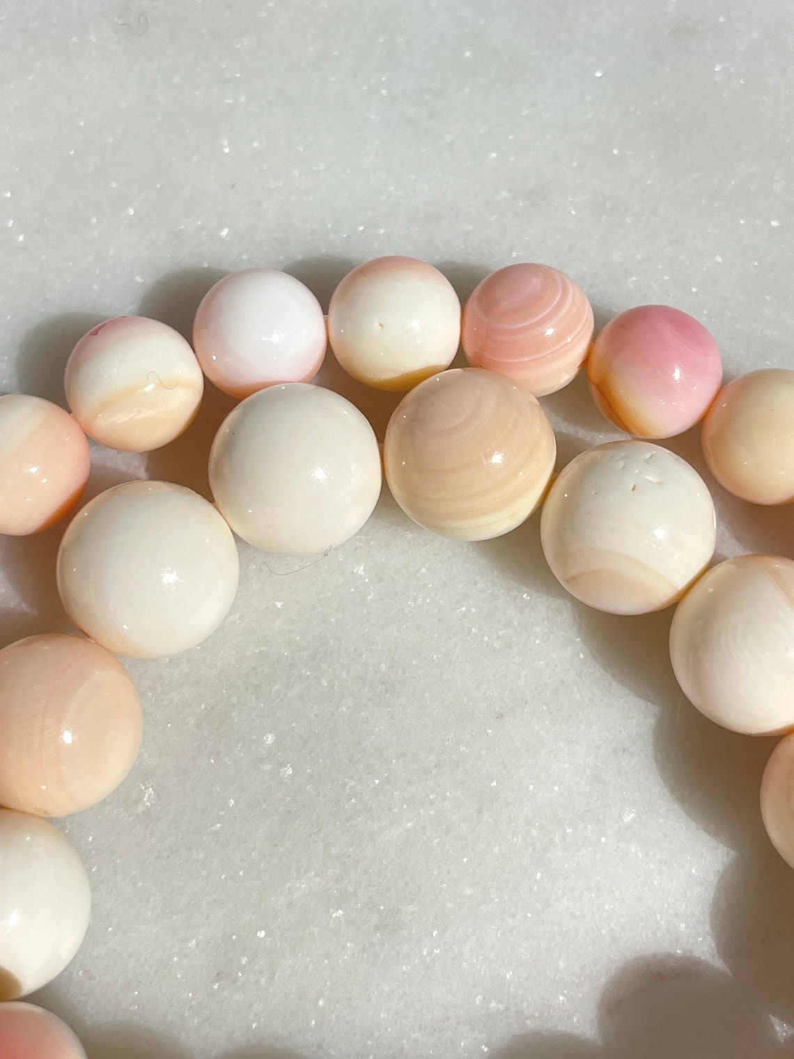 Queen Conch Shell Bracelet - All-natural, Top Quality Queen Conch Shell ...