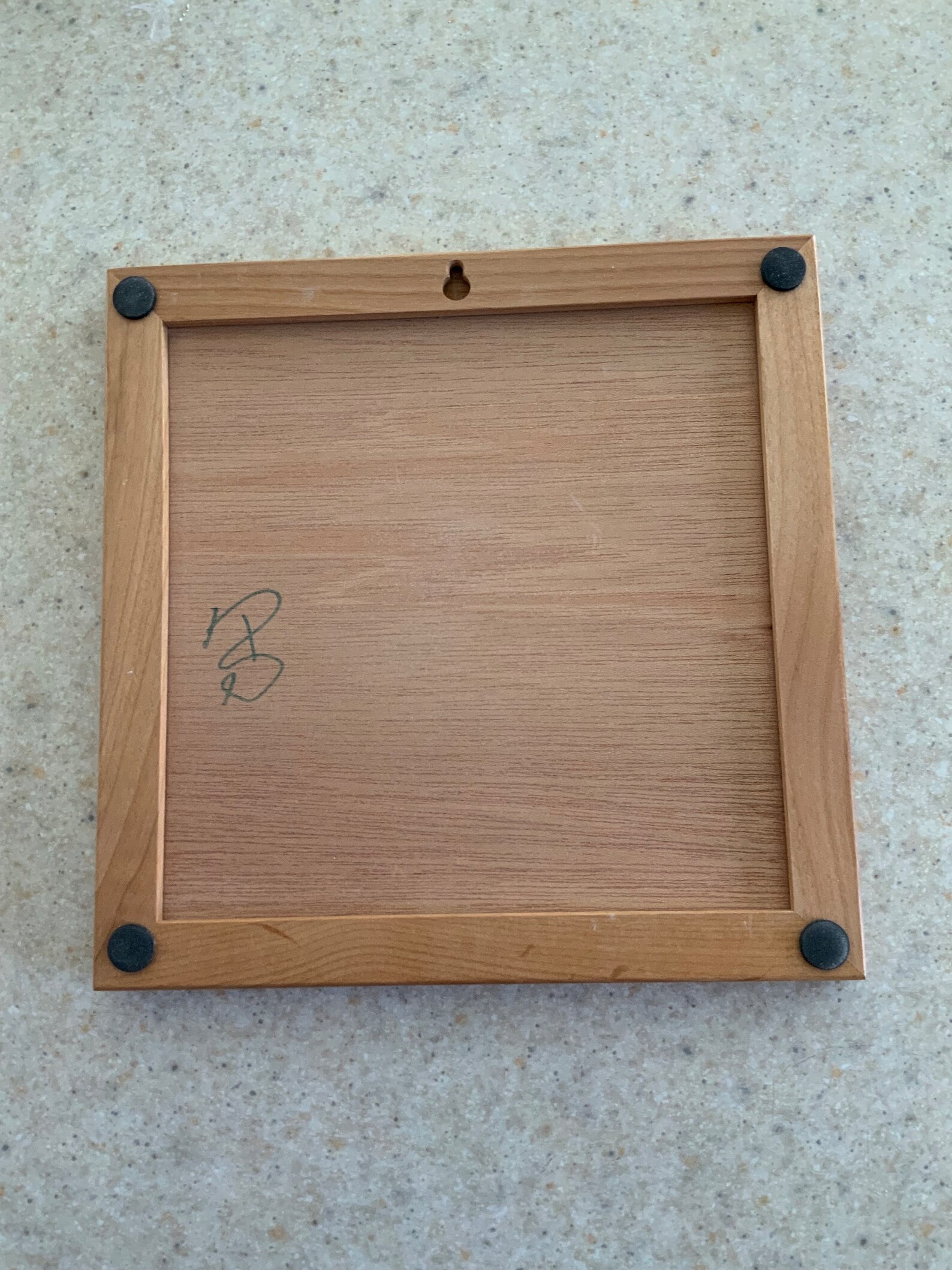 Shell Collectors Delight - Etsy