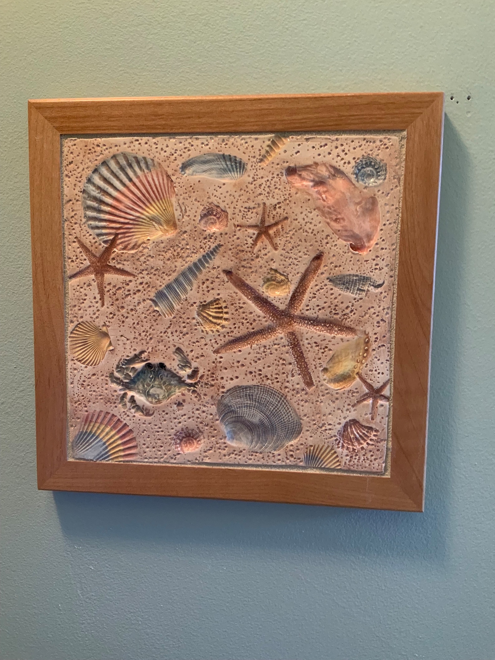 Shell Collectors Delight - Etsy