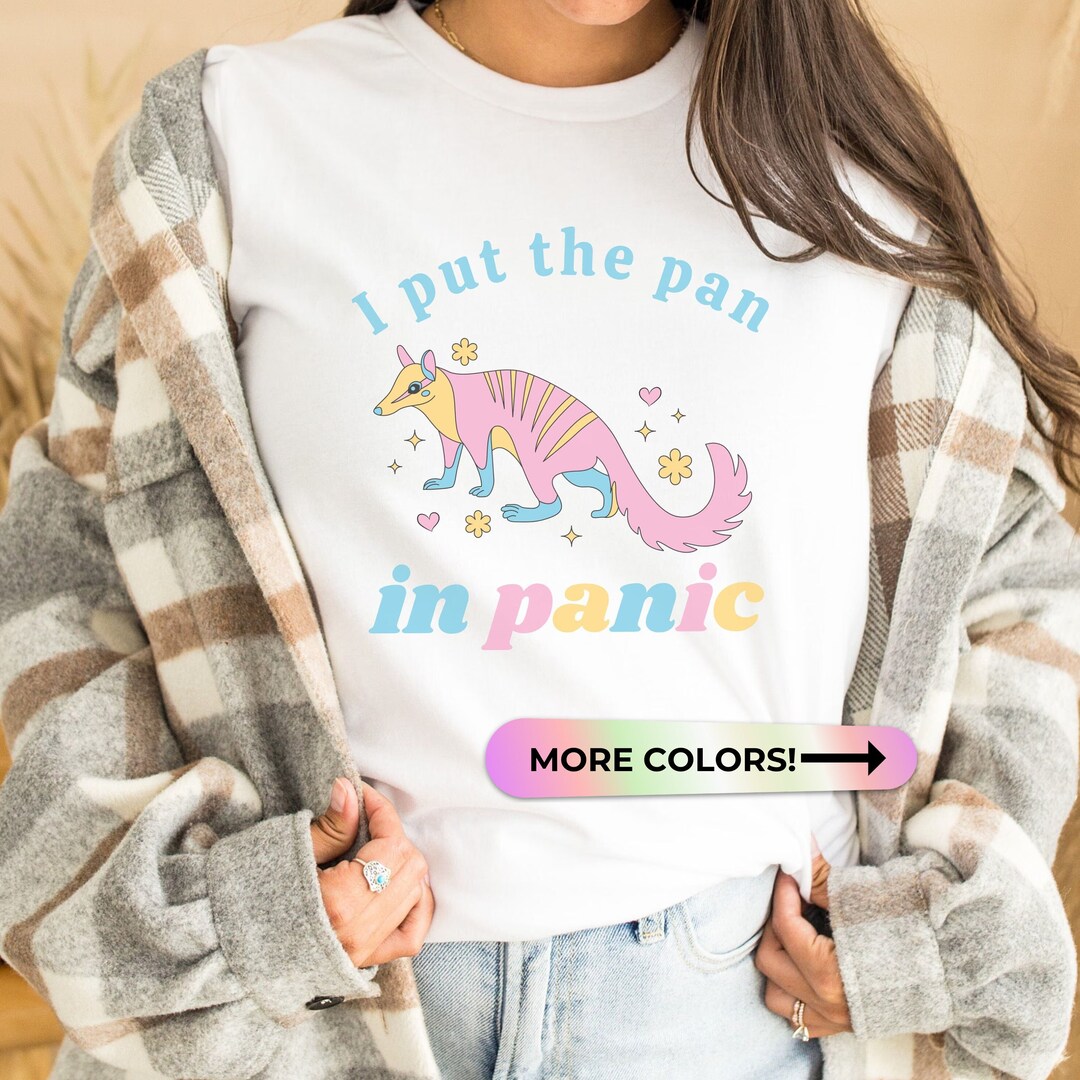 Pan Pride Shirt, Pansexual Flag Tshirt, LGBTQ Tee, Pride Month Gift ...