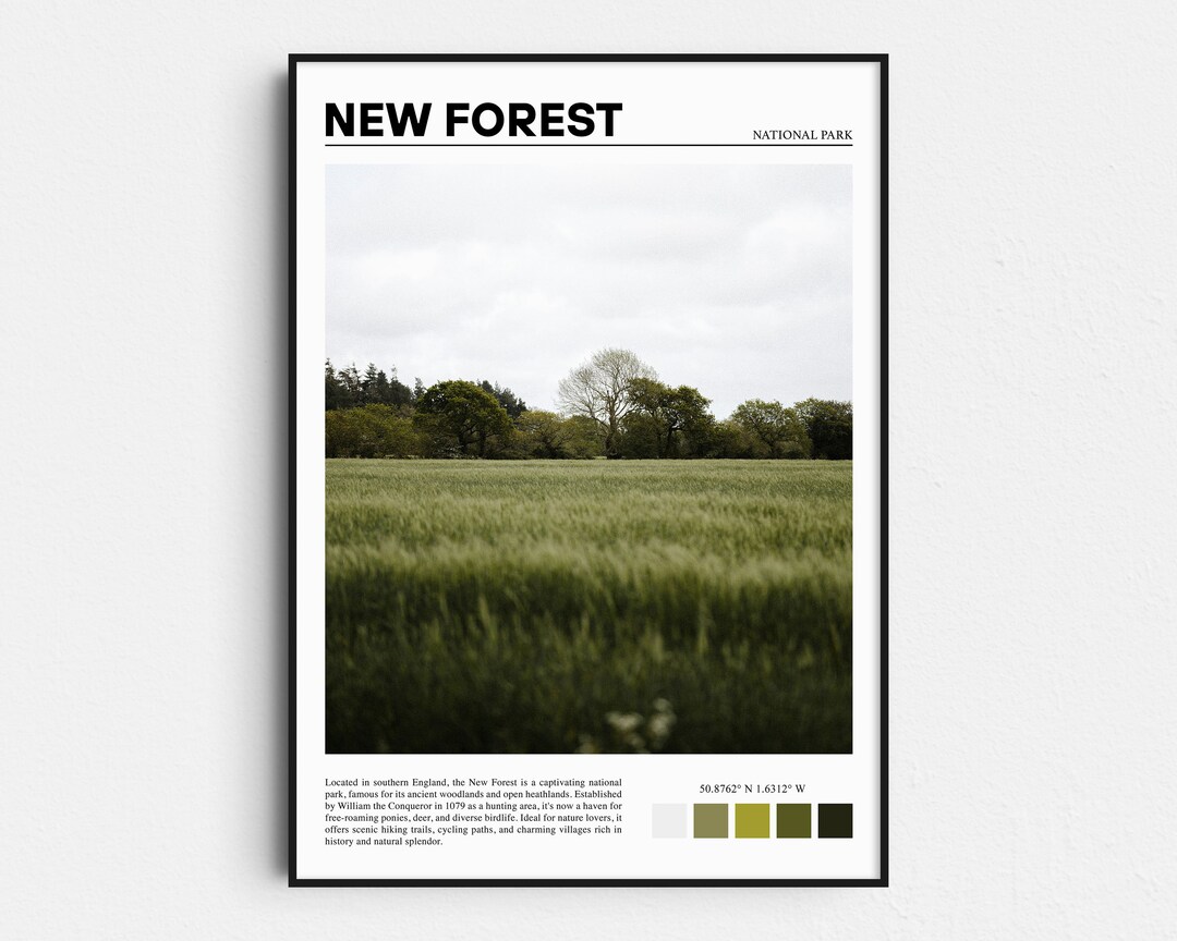 New Forest Print, New Forest Poster, New Forest Wall Art, New Forest ...