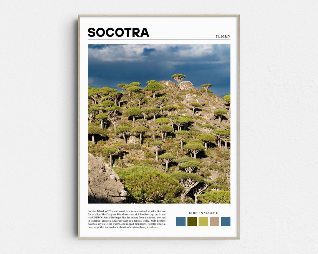 Yemen Print, Socotra Island, Yemen Photo, Yemen Wall Art, Middle East ...