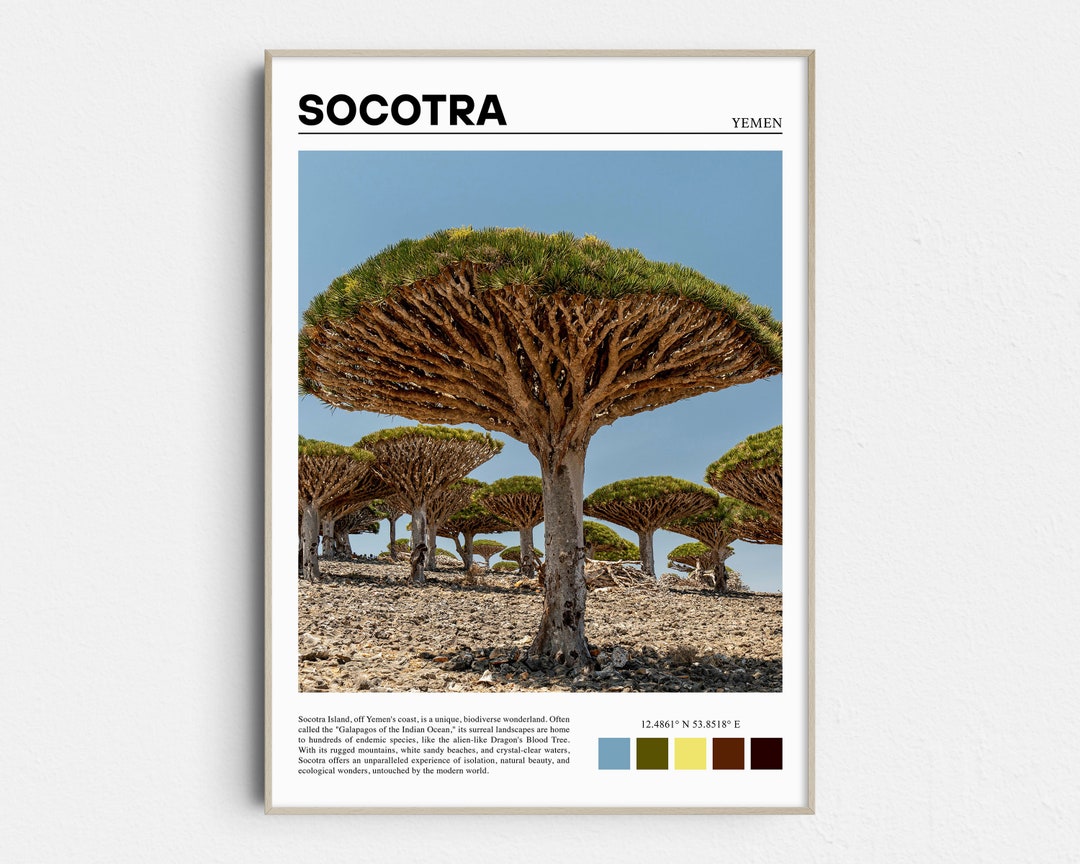 Socotra Island, Yemen Print, Yemen Photo, Yemen Wall Art, Middle East ...