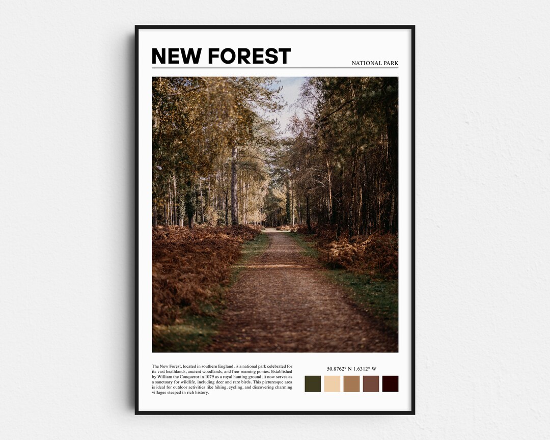 New Forest Print, New Forest Poster, New Forest Wall Art, New Forest ...