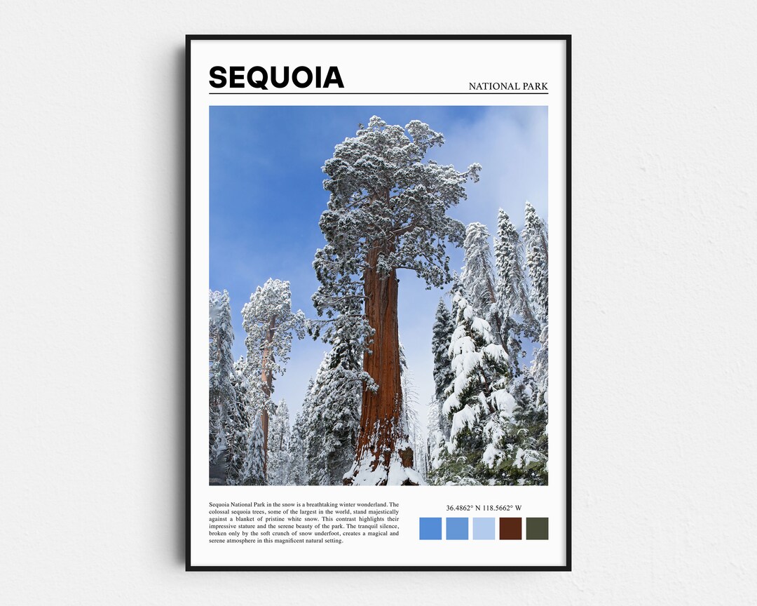 Sequoia National Park Print, Sequoia Poster, Sequoia Wall Art, Sequoia ...